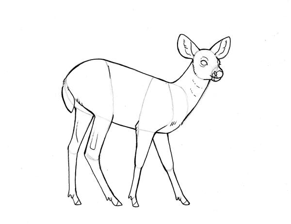 Dainty Doe | FaveCrafts.com