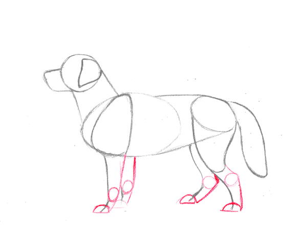 Labrador Side View | FaveCrafts.com