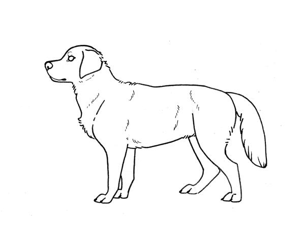 Labrador Side View | FaveCrafts.com