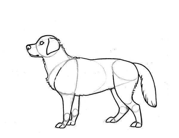 Labrador Side View | FaveCrafts.com