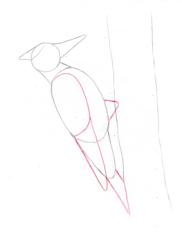 Woodpecker Climbing | FaveCrafts.com