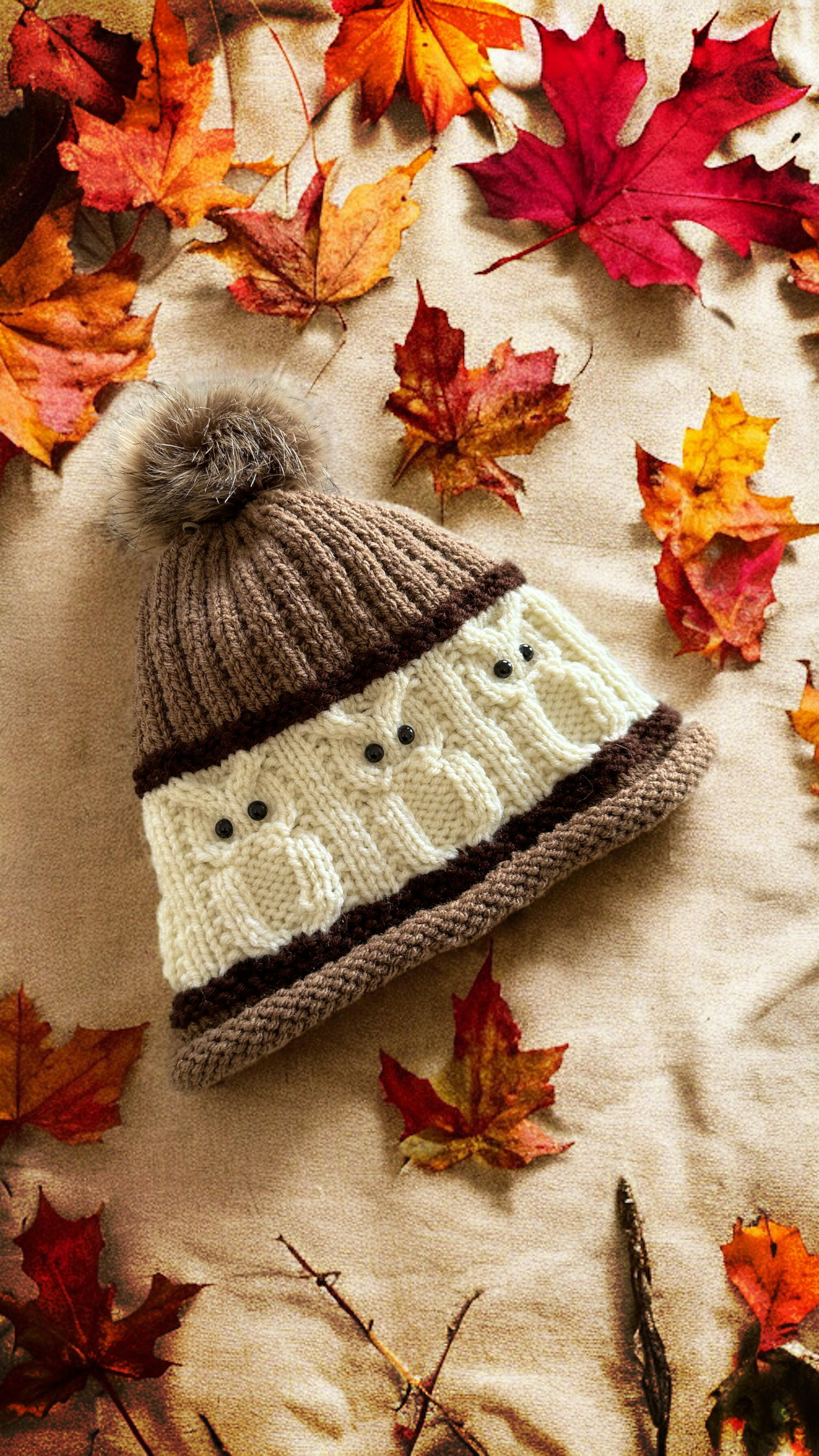 How To Knit A Beanie Hat - With Owls! | AllFreeKnitting.com