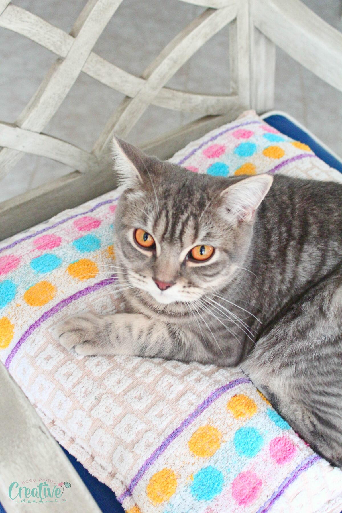 How To Sew A Cat Bed From A Towel | AllFreeSewing.com