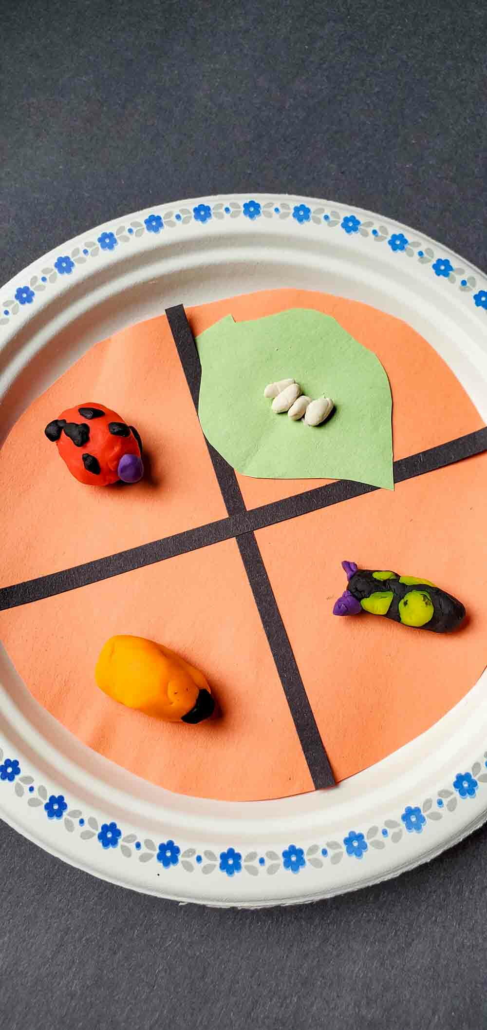 Ladybug Life Cycle Craft | AllFreePaperCrafts.com