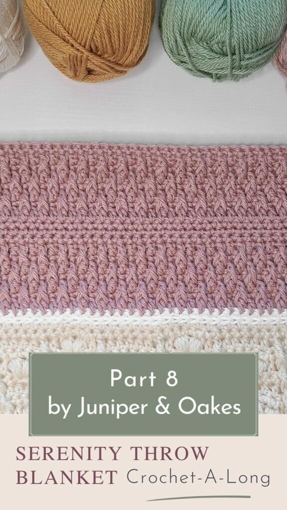 Alpine Crochet Blanket Pattern | AllFreeCrochet.com