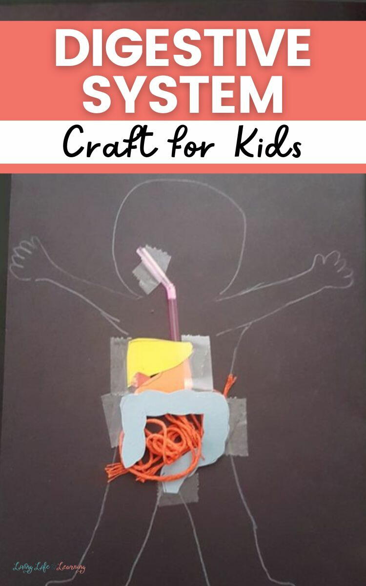 Digestive System Craft For Kids | FaveCrafts.com