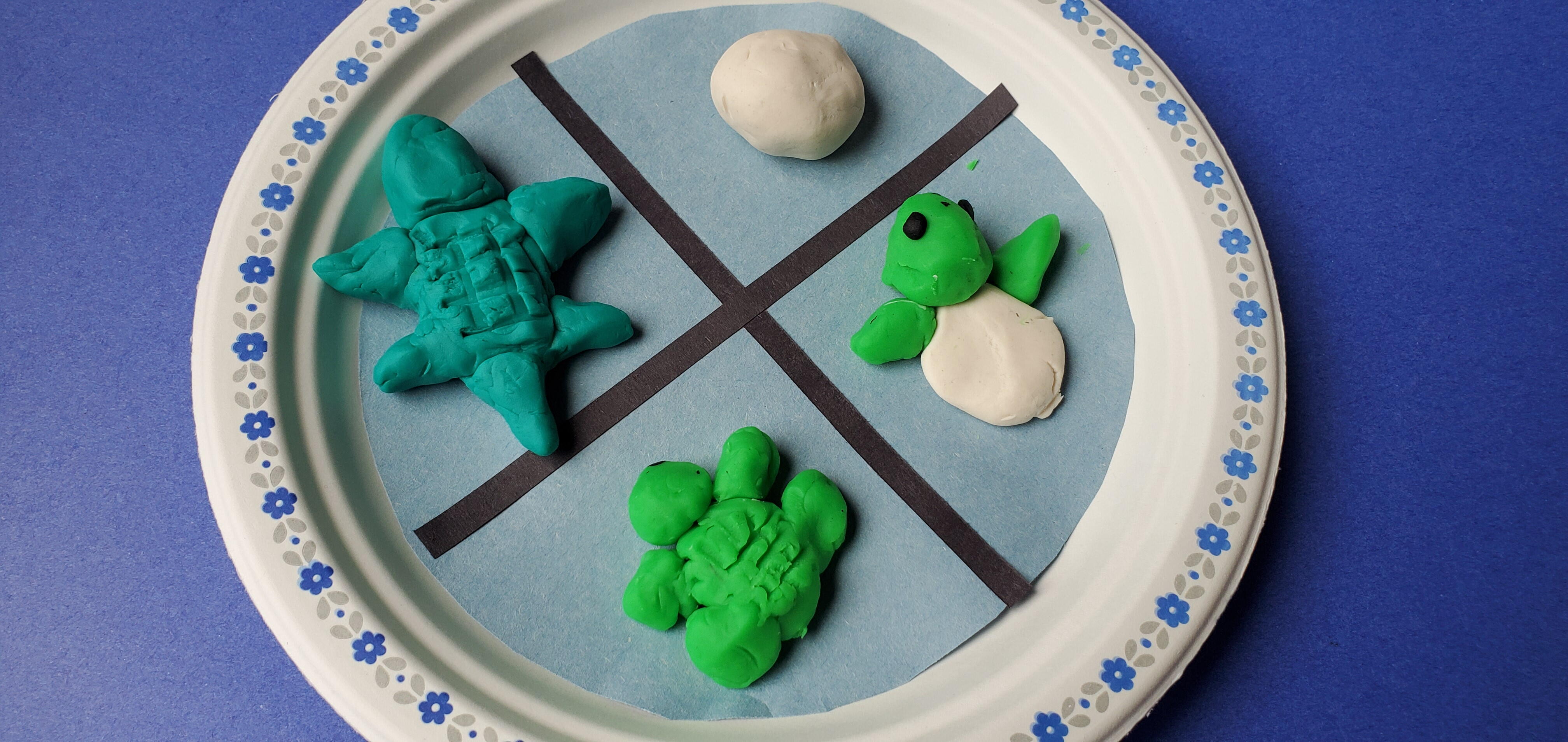 Sea Turtle Life Cycle Craft | AllFreeKidsCrafts.com