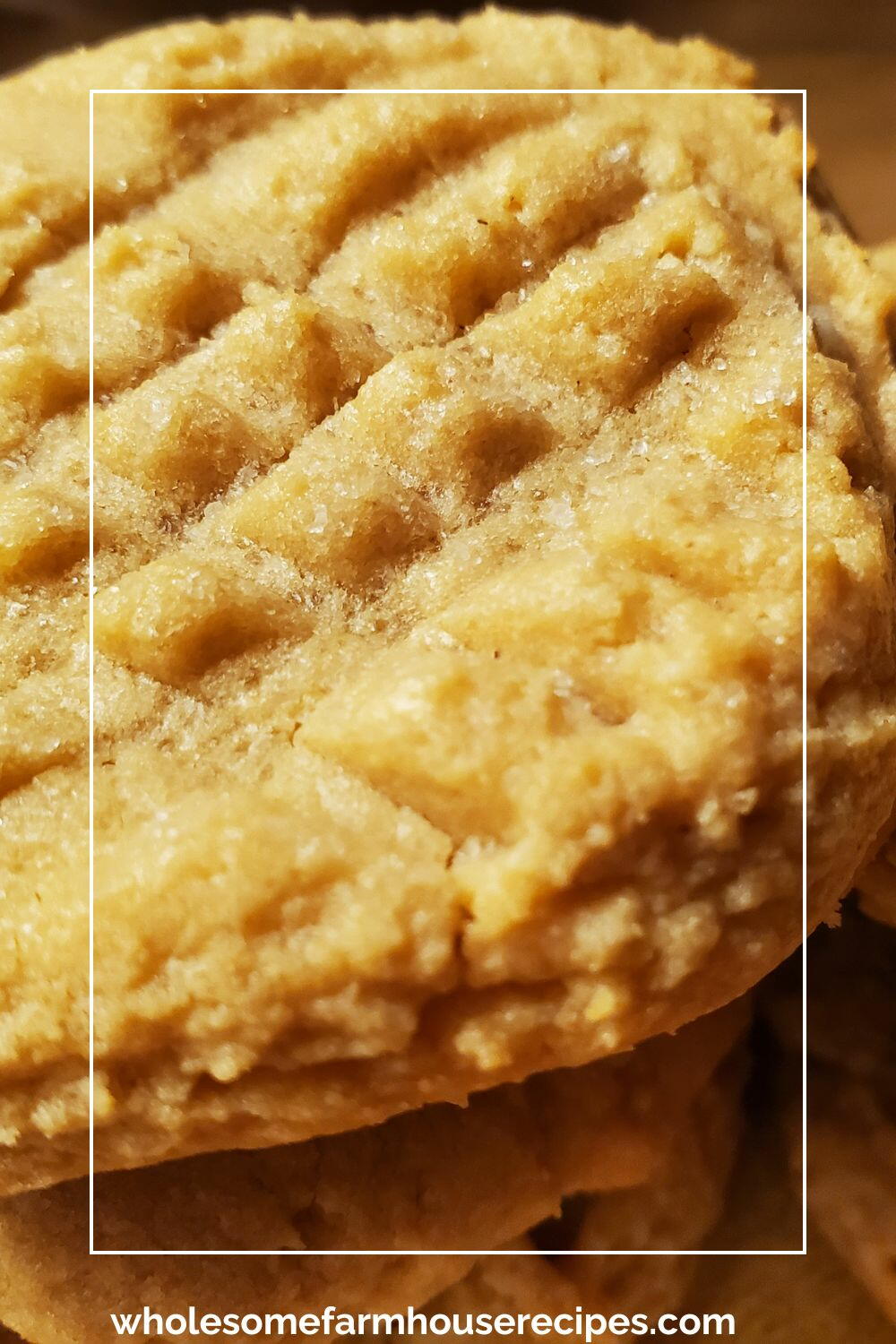 Large Bakery Style Chewy Peanut Butter Cookies | AllFreeCopycatRecipes.com
