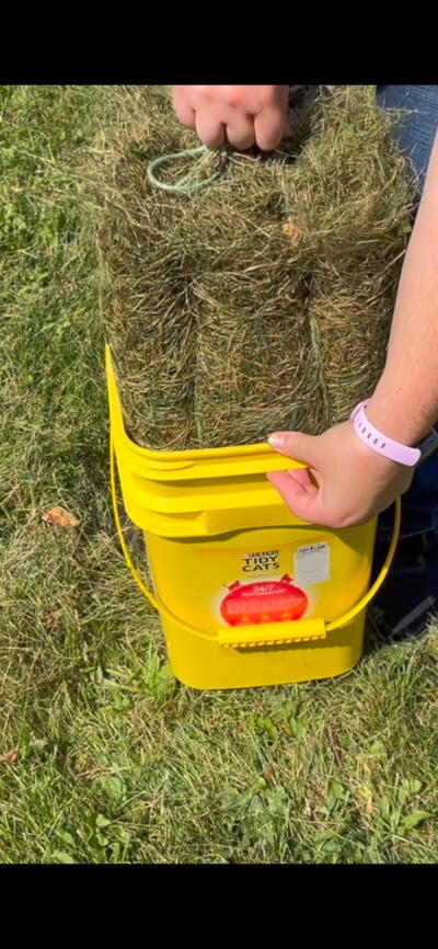 How To Make Mini Hay Bales From Lawn Grass Clippings | DIYIdeaCenter.com