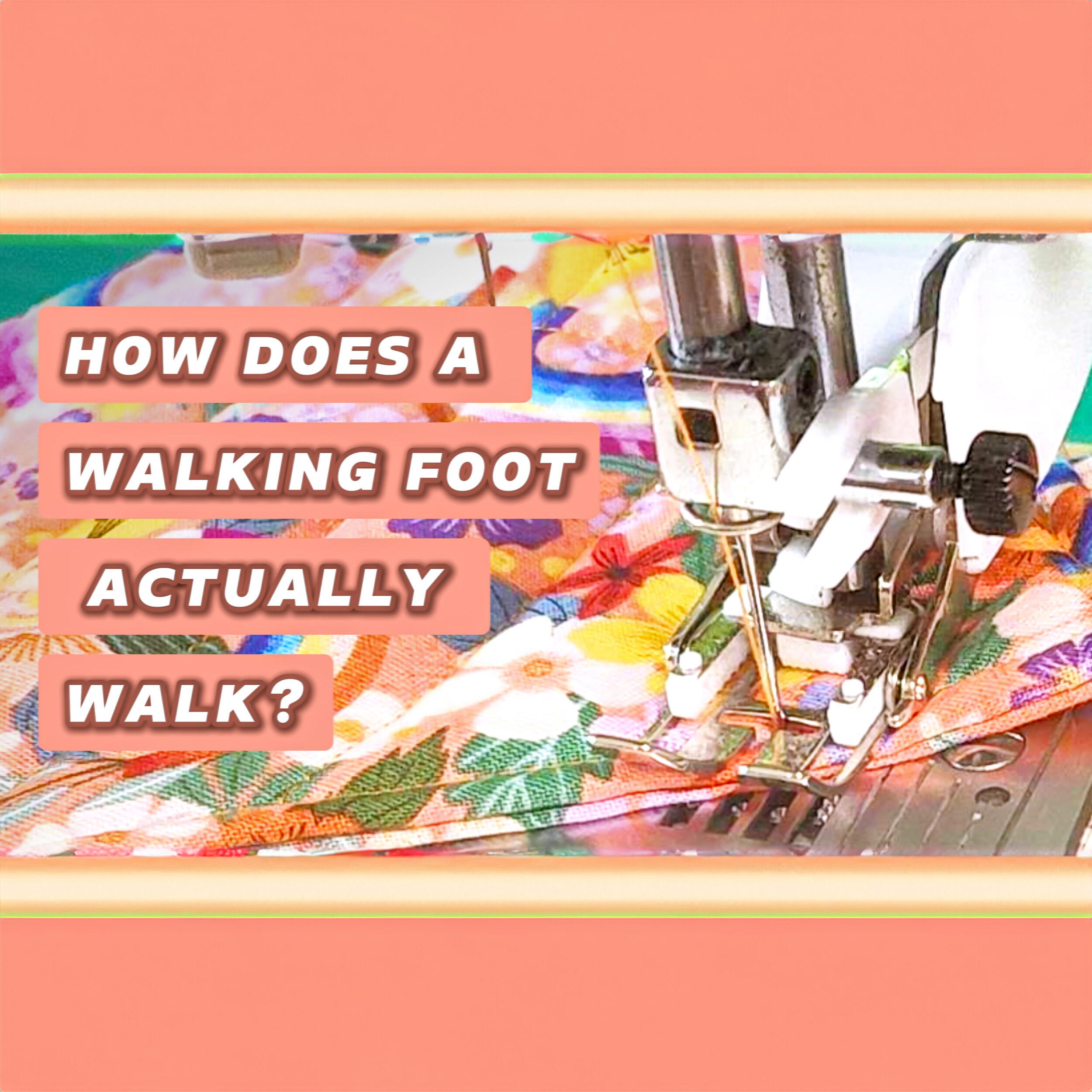 How Does A Walking Foot Work | AllFreeSewing.com