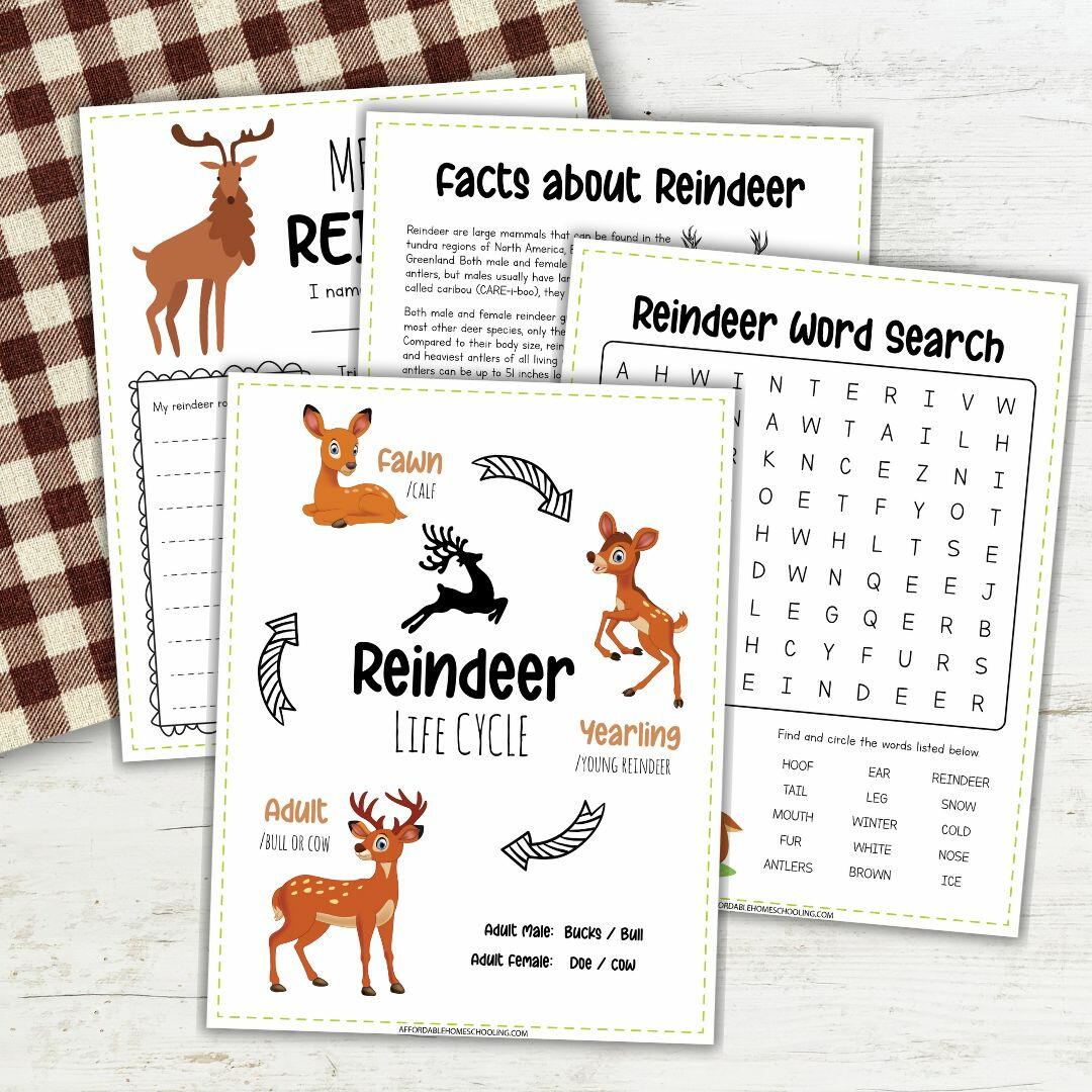 Reindeer Activities For Kids | AllFreePaperCrafts.com