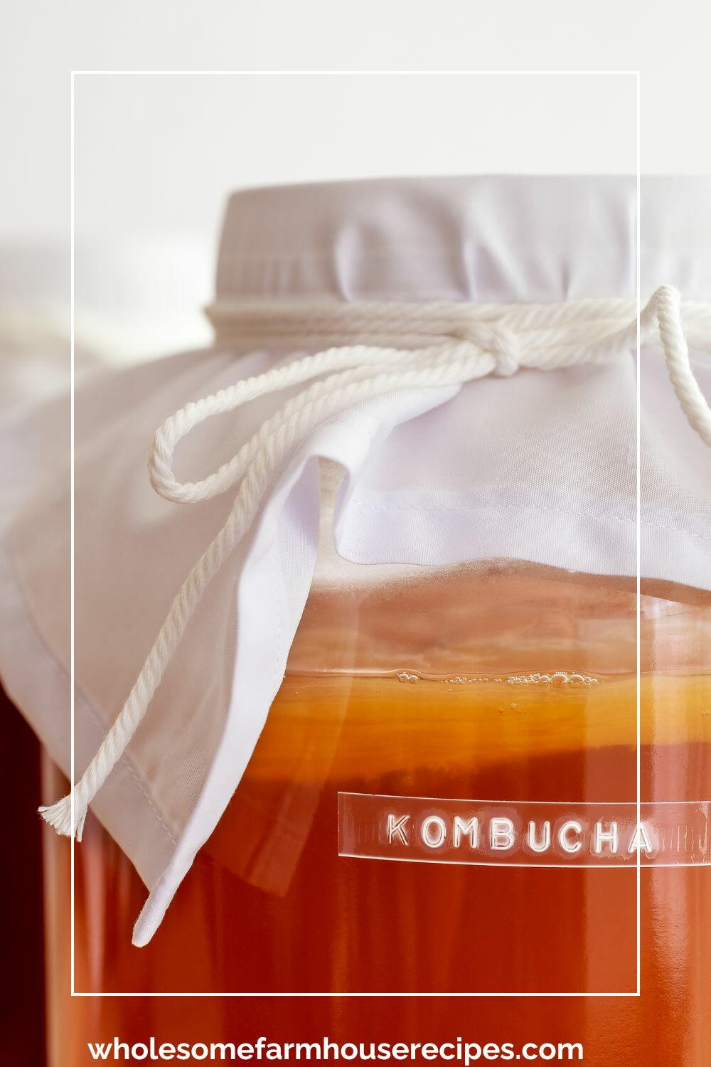 How To Make Primary Kombucha Step-by-step For Beginners | RecipeLion.com