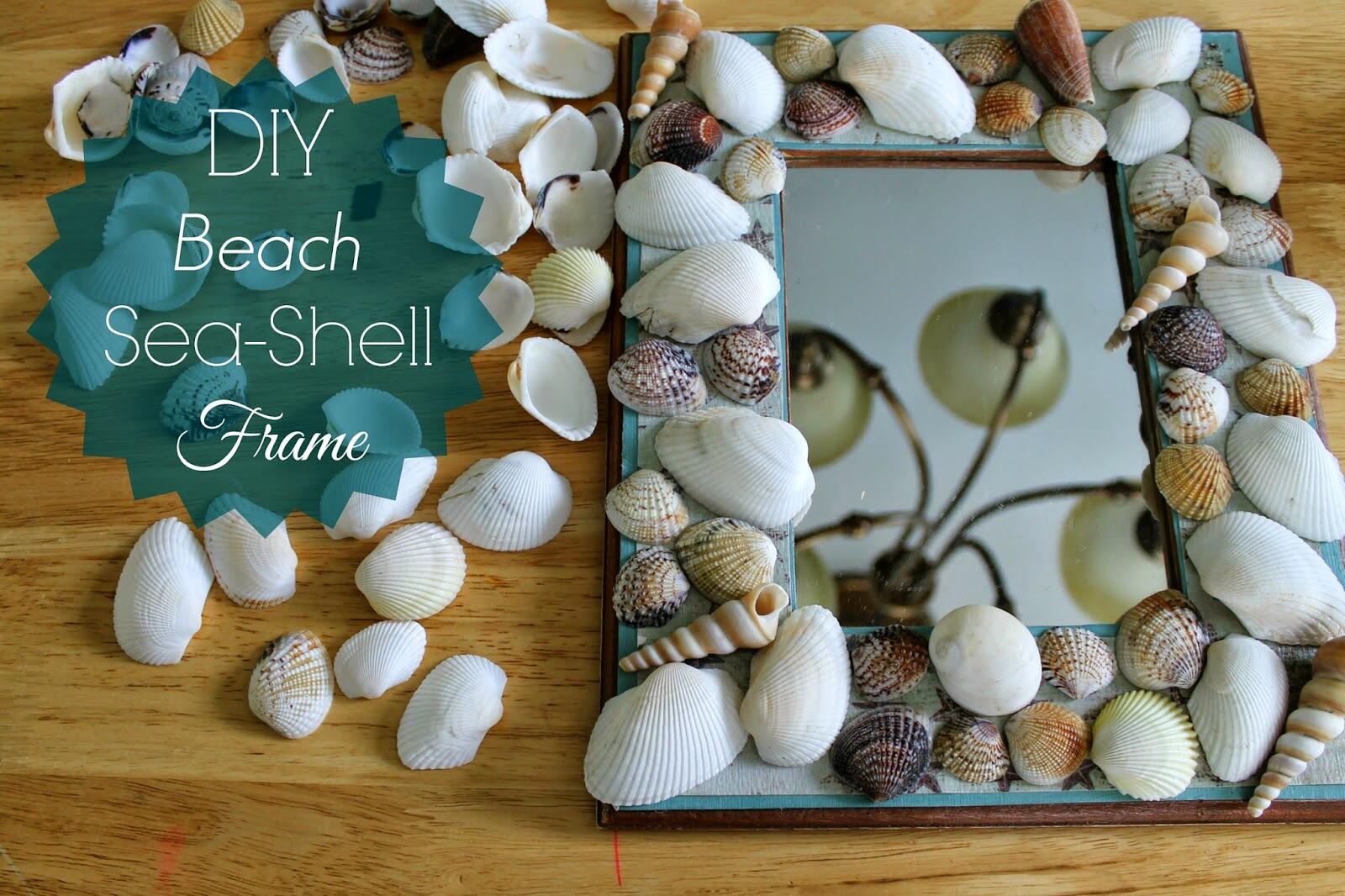 Easy Diy Seashell Frame | CheapThriftyLiving.com