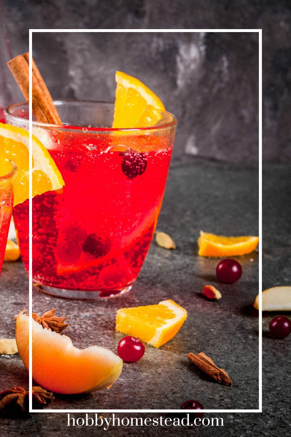Festive Cranberry Orange Cinnamon Refresher | AllFreeCopycatRecipes.com