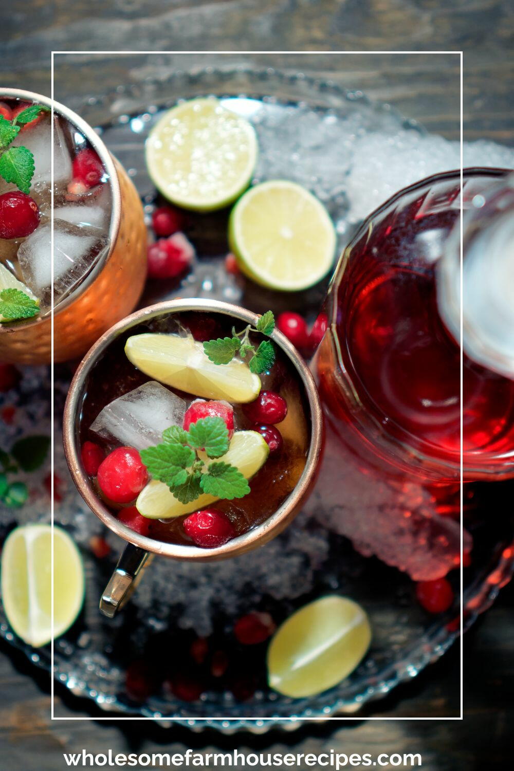 Winter Cranberry Pomegranate Mint Refresher | RecipeLion.com