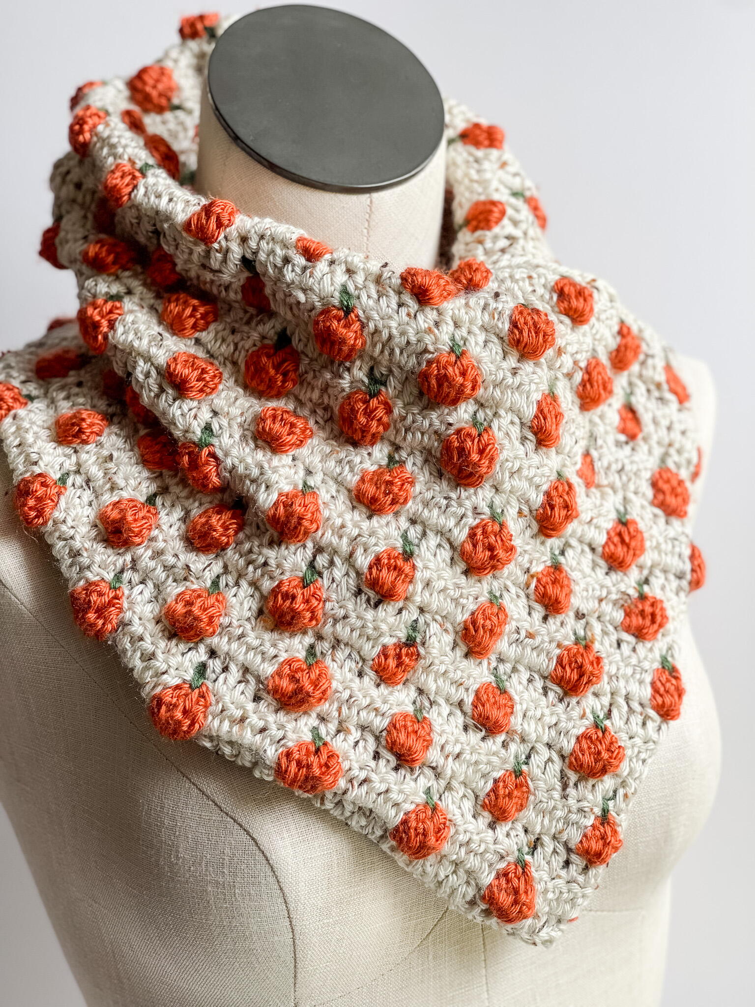 Pumpkin Patch Cowl | AllFreeCrochet.com